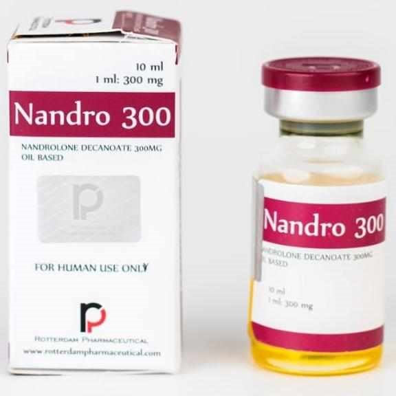 ROTTERDAM - NANDRO 300 (300 MG) – ProteinPalaceMx